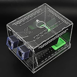 Jazar Cricket Keeper, Easy to Cricket Keeper with Tubes for Home for Office(L)