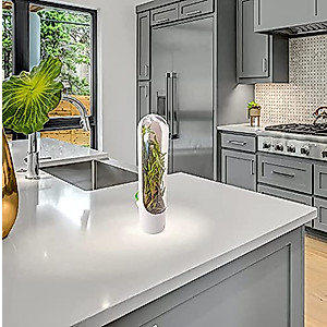 Caliber Cooks, Herb Saver Fresh Keeper Pods Produce Keeper Cilantro Containers for Refrigerator Storage Container for WellPacked Herb Holder Preserve Longer Well Sealing Lid , 9.8x6.6x25.1cm