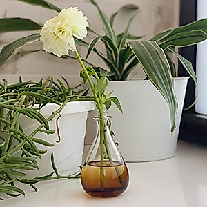 ESSCENTIALS Lazy Summer Fragrance Mist - Beautiful and Light Spray Fragrance from Nature - Vegan and Non-Toxic Mist Featuring Notes of Salted Coconut and Orange Blossom - 2.0 Oz / 60ml