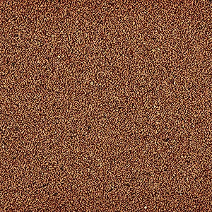 Kaytee Walnut Bedding and Litter 5.2L