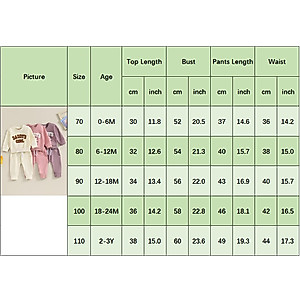 FIOMVA Daddys Girl Baby Clothes Toddler Fall Winter Outfits Sweatshirt Pants 2 Piece Set Shirt Sweatpants Suit (H Embroidered Daddy's Girl Purple, 18-24 Months)