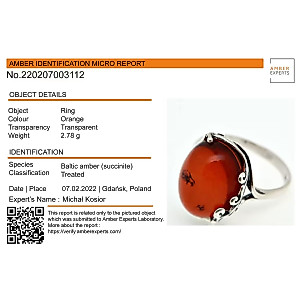 HolidayGiftShops Sterling Silver and Baltic Cherry Amber Adult Ring Dana- Size 7.5