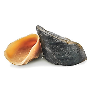 Barkworthies Natural Cow Hooves for Dogs (12 pk) – Single Ingredient Long Lasting Dog Chew – Grass Fed Free Range 100% Beef Cow Hoofs for Dogs – Promotes Dental Health