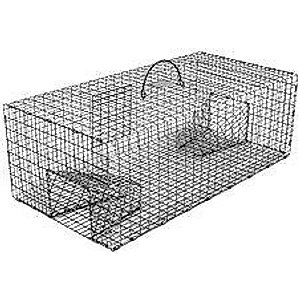 Live Animal Trap: Double Door Sparrow Trap