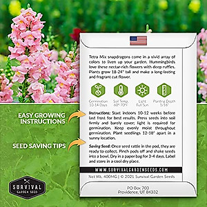 Survival Garden Seeds - Snapdragon Tetra Mix Seed for Planting - Packet with Instructions to Plant and Grow Beautiful Colorful Flowers in Your Home Vegetable Garden - Non-GMO Heirloom Variety