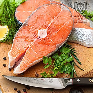 Dalstrong Fillet Knife - 6 inch - Shogun Series ELITE - Damascus - AUS-10V Japanese Super Steel - Boning Knife - Meat Cutting, Carving, Bone, Trimming, Deboning - Black G10 Handle - Sheath Included