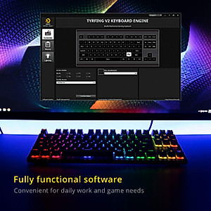 DREVO Tyrfing V2 Customizable RGB Compact 87 Keys Mechanical Gaming Keyboard USB Wired Tenkeyless Programming Macro Media Control Software Support Outemu Red Switch Black