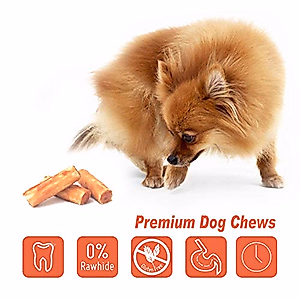 LuvChew Premium Dog Chew Treats Chicken Retriever Rolls for Large Dogs, Rawhide Free, Grain Free, Highly Digestible,Large 7" 2pcs/Pack x 2pack