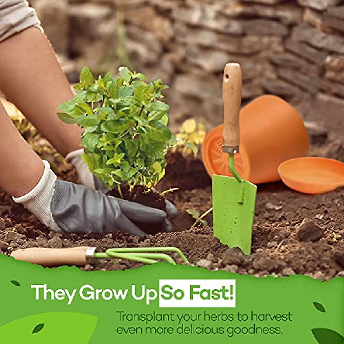 Deluxe Herb Garden Kit – Unique Gardening Gifts for Women - 8 Variety Culinary Herb Garden Kit Indoor & Outdoor – Cooking Gifts for Gardeners, Plant Gifts for Mom Who Has Everything This Christmas