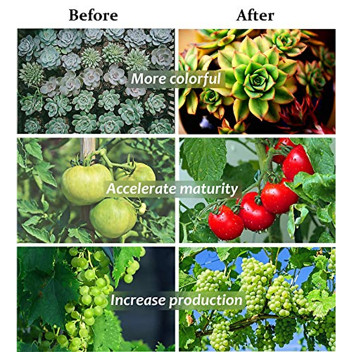 Vionmi Optics Grow Lights for Seed Starting Full Spectrum LED Plant Grow Lamp for Succulent Indoor Plants Sun Lights 2 Head Clip Lamps Replaceable Bulb Adjustable Gooseneck