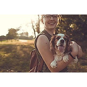 Aloha Medicinals K9 FullFlex, Dog Hip and Joint Supplement, Certified Organic and Mushroom Enhanced Dog Health Supplement, Pack of 1, 60 Chews