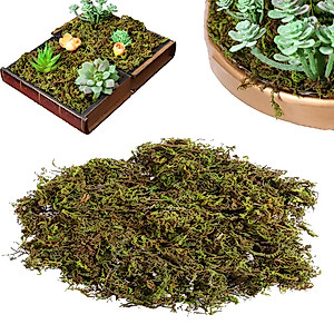 Abaodam Moss for Potted Plants Flowers Live Plant Fake Artificial Crafts Green Simulation Lifelike Fake Moss Artificial Plants Faux Lichen for Decoration Home Garden（60g Each Pack