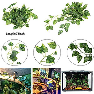 kathson Leopard Gecko Tank Accessories Reptile Habitat Decor Reptiles Hanging Plants Artificial Bendable Climbing Vines and Hidden Coconut Shell Hole for Chameleon, Lizards, Gecko, Snakes