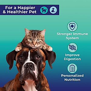 Innovative Pet Lab Basic Gut Health Test Kit for Dogs & Cats - at-Home Stool Test for Underlying Digestion & Immune Symptoms Like Diarrhea, Mood, Itchy Skin, GI Discomfort - Easy Non-Invasive Testing