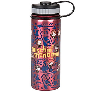 Harry Potter Stainless Steel Water Bottle - With Mischief Managed Chibi Character Design - 550ml