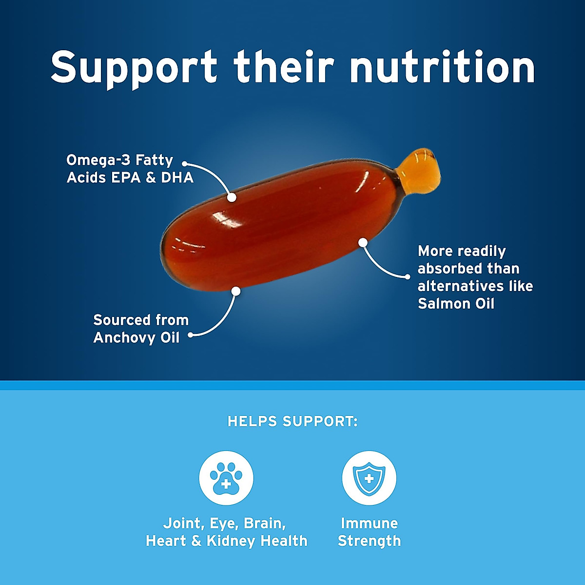 Pet Protect from The Makers of Advantage Omega 3 Supplement for M/L Dogs | 250 Capsules