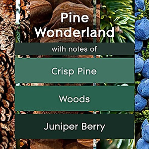 Glade PlugIns Refills Air Freshener Starter Kit, Scented and Essential Oils for Home and Bathroom, Pine Wonderland, 3.35 Fl Oz, 1 Warmer + 5 Refills