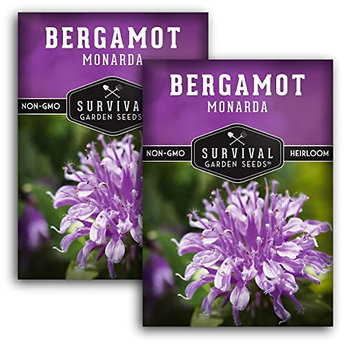 Survival Garden Seeds - Bergamot Herb (Bee Balm) Seed for Planting - 2 Packs with Instructions to Plant and Grow Lavender Monarda Wildflowers in Your Home Vegetable Garden - Non-GMO Heirloom Variety