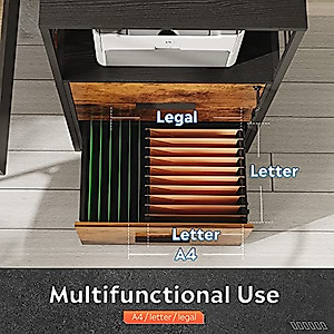 DEVAISE 2 Drawer Lateral File Cabinet with Lock, Filing Cabinet fits Letter/Legal/A4 Size, Large Printer Stand with Storage Shelves for Home Office, Rustic Brown