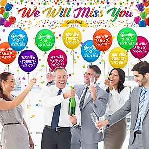 We Will Miss You Party Decorations We Will Miss You Good Luck Banner and 18Pcs Balloons for Graduation Farewell Retirement Leaving Going Away Goodbye Party Supplies Decor