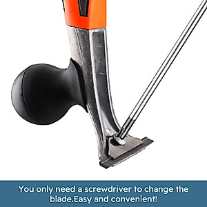 Premium Carbide Scraper Replacement Blade, 2-Inch, for 665 Scraper, Removes Paint, Varnish, Grout, Glue, Etc.