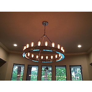 Rolay 6 Pack, 25 Watt Vintage Edison Light Bulb with Squirrel Cage Filament, 110~130 Volts, E26 Base