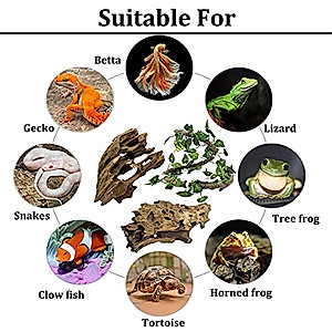 PINVNBY Reptile Plants, Reptile Vines and Flexible Reptile Leaves Large Driftwood Tank Habitat Decor for Bearded Dragons Snakes Geckos Frogs Chameleon(3 PCS)