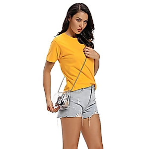 Clear Crossbody Purse Bag, Shoulder Handbag pouch Stadium/Concert Venues Approved Clear Bag for Women (SV), Silver