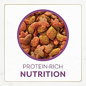 Purina Fancy Feast Dry Cat Food with Savory Chicken and Turkey - 3 lb. Bag