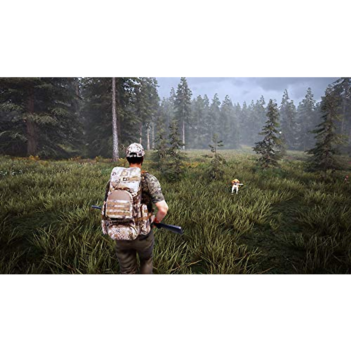 Hunting Simulator 2 - PlayStation 4 (PS4)