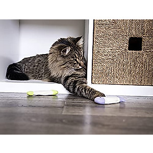 SmartyKat (3 Count) Fish Flop Crinkle Catnip Cat Toys - Multi Color, 3 Count