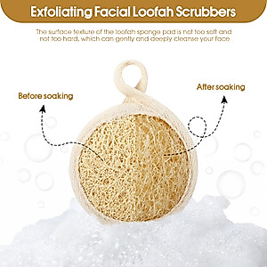 Exfoliating Loofah Sponge Pads Face loofa Brush 6 Pack 3.15 inches Made of 100% Natural Luffa Body and Facial Scrub Pad Personal Care Close Skin for Men and Women for Bath Spa and Shower