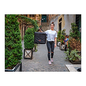 Cambro Large Delivery Bag for 1/1 GN Pans