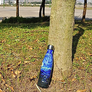Star Print Bottle, Van Gogh The Starry Night, Double Wall Vacuum Insulated Stainless Steel Water Bottle, 17 oz
