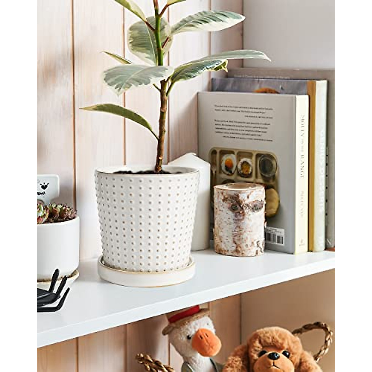 LE TAUCI Ceramic Plant Pots, 5.4 Inch Pots for Indoor Plants, Planters with Drainage Hole and Saucer, Flower Pots for Succulent, Snake Plants and Cactus, Set of 2, Reactive Glaze White