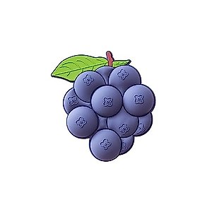 Cute Fridge Magnets Fun Food Fridge Magnets The Kitchen Decorate Use in Office Home Whiteboard Fruit Fridge Magnets (Grapes)