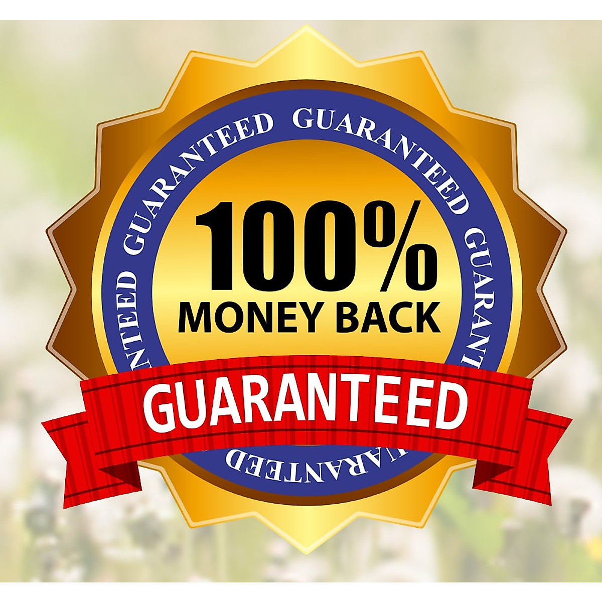 Mange Remedy for Dogs. SkinPlex PLUS Digestive Enzymes – helps with dog & puppy mange, scabies, and mites. All natural, safe & effective. Made in The USA.