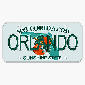 Vision Signs Orlando Florida License Plate Sticker Bumper Sticker Vinyl Decal 5''
