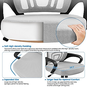 Topeakmart Executive Office Chair Computer Desk Chair Office Task Chair Study Work Chair Managerial Chair for Home Office Student Study Conference Room, Grey