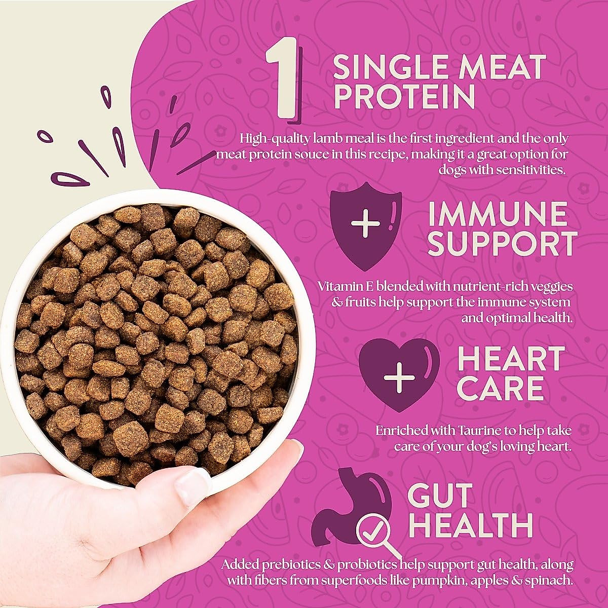 Earthborn Holistic Meadow Feast Grain-Free Natural Dry Dog Food (2 Bags - 50 Pounds Total)