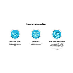 Fizzion Pet Stain and Odor Extra Strength Eliminator (10 Tablets, Extra Strength)