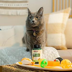 NOW Foods Pet Health, Joint Support Supplement, Formulated for Cats & Dogs, NASC Certified, 90 Chewable Tablets