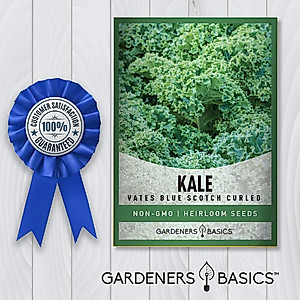 Gardeners Basics, Kale Seeds for Planting, Heirloom, Non-GMO Vegetable Variety - Great for Indoor, Outdoor, and Hydroponics Gardening (Vates Blue Scotch Curled)