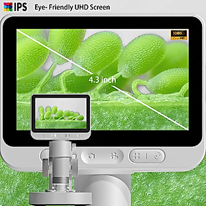 BEAVERLAB Digital Microscope with 4.3'' 1080P IPS Screen [Eco-Friendly Optical Staining] 1600x Magnification for Classroom Education, Macro Photography, Coin Collection, Learning and Explore