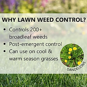 Jonathan Green (12197) Lawn Weed Control - Post Emergent Broadleaf Weed Killer (15,000 Sq. Ft.)