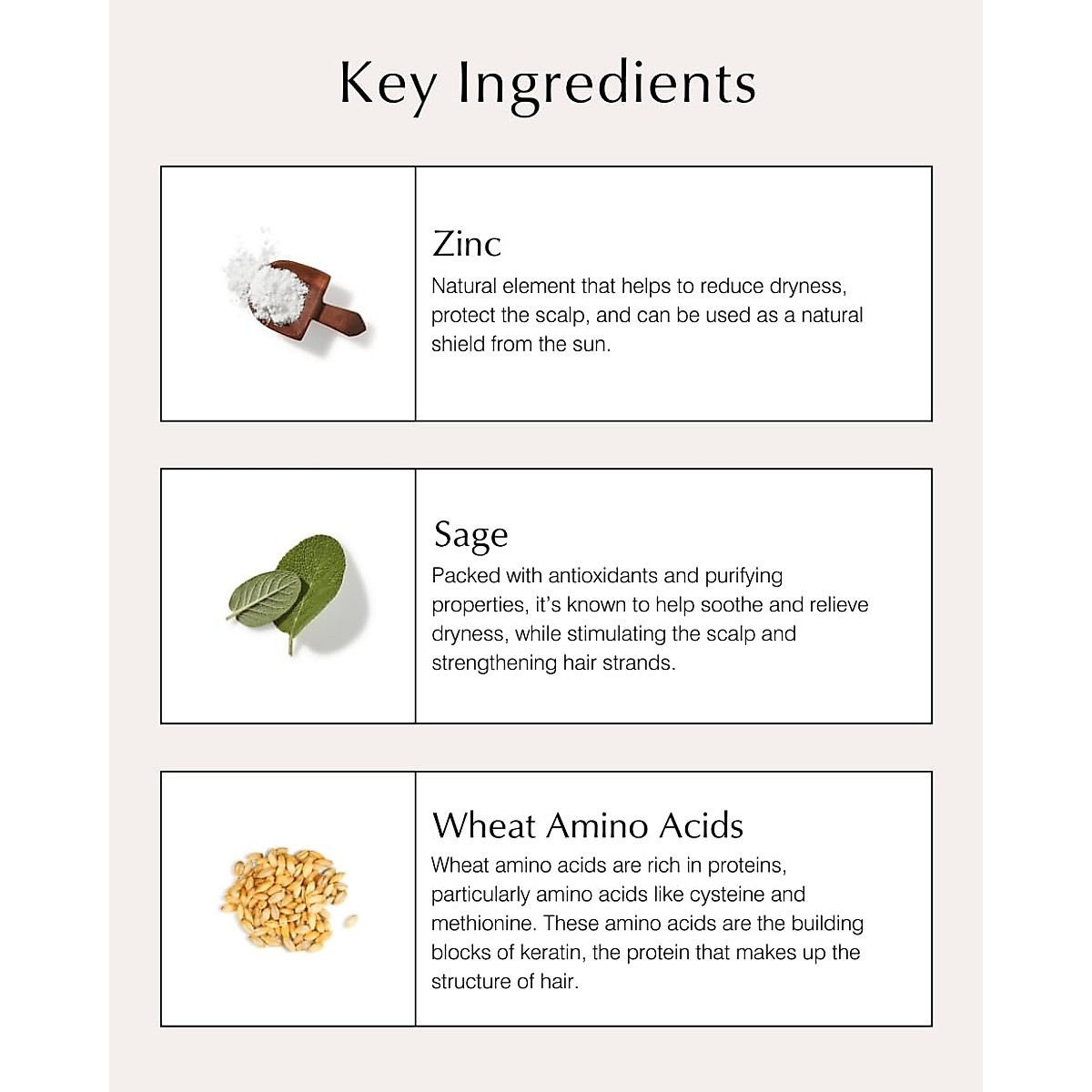 John Masters Organics 2-in-1 Shampoo & Conditioner for Dry Scalp with Zinc & Sage 16 oz