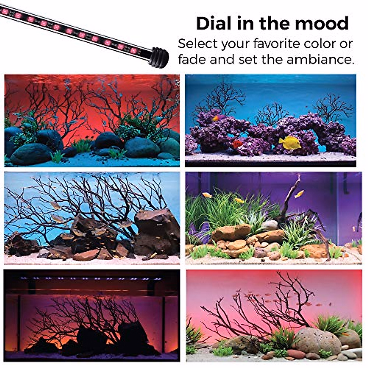 CURRENT USA Serene Aquarium Visual and Audio Aquatic Experience Kit | LED Background Light (48")