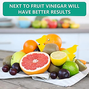 Springco 100 Pack Fruit Fly Traps Yellow Sticky Traps Gnat Sticky Traps for Indoor/Outdoorgnat Traps for House Indoor (95（95+4+1） 100pack)