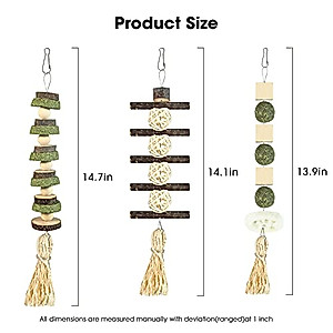 PRAZONVEE Rabbit Chew Toys, Molar Wood Treats Toys for Hamster, Organic Apple Strings Chew and Play Toys Teeth Grinding, with 2 Pine Nuts, for Bunny, Guinea Pigs, Chinchillas and Small Animals