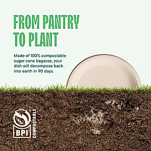 Paper Plates, 100% Compostable Heavy Duty Disposable 10 Inch Plate - [125-Pack] - {PFAS-Free} - {BPI Certified} Eco-Friendly, Biodegradable Bagasse